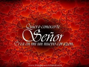 PREPARA TU CORAZON PARA LO NUEVO – Las Cartas de Magie