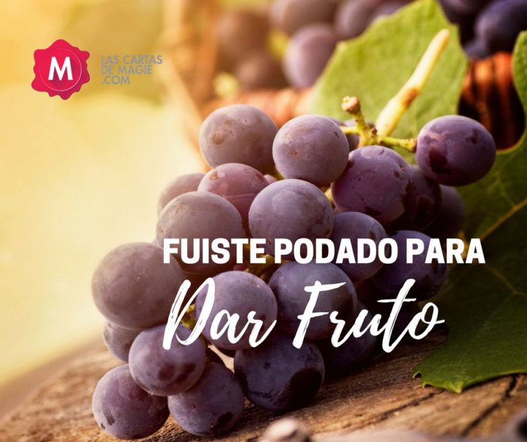 2018 UN AÑO DE FRUCTIFICACION Y MULTIPLICACION – Las Cartas de Magie