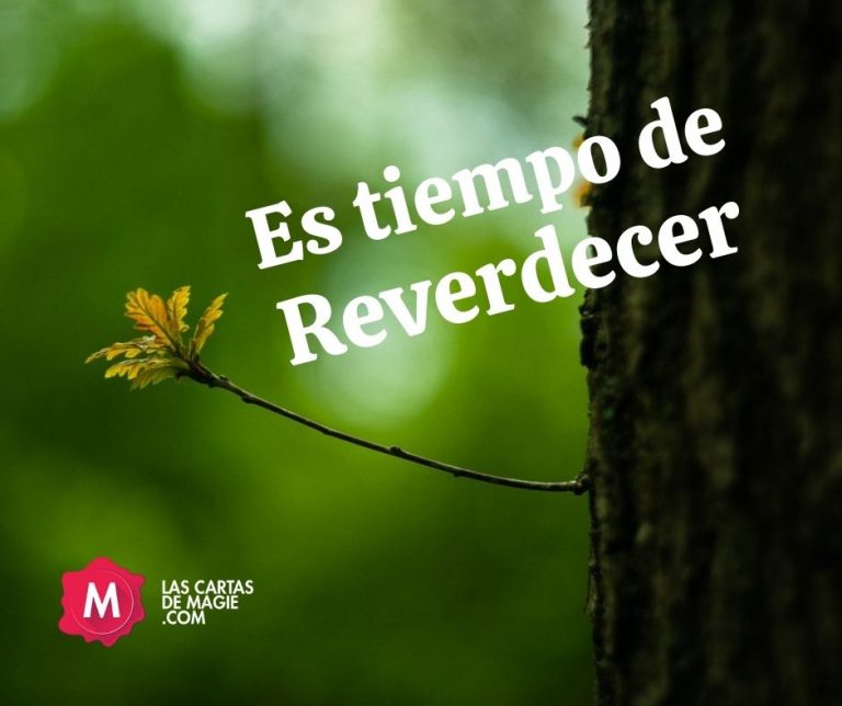 Reverdecerás y echarás renuevos – Las Cartas de Magie