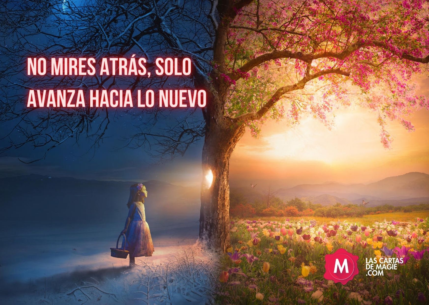 El fin de lo viejo y el comienzo de lo nuevo – Las Cartas de Magie