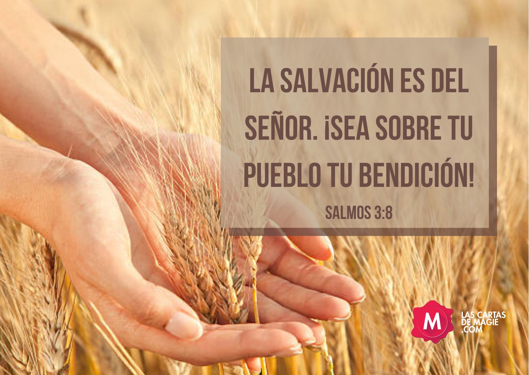 Estás en una temporada de bendiciones – Las Cartas de Magie