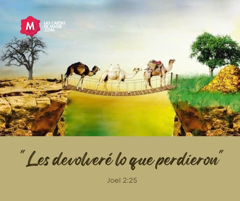 Recibirán recompensa y restitución – Las Cartas de Magie