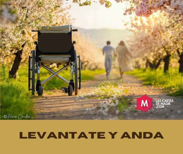 Levántate y anda – Las Cartas de Magie