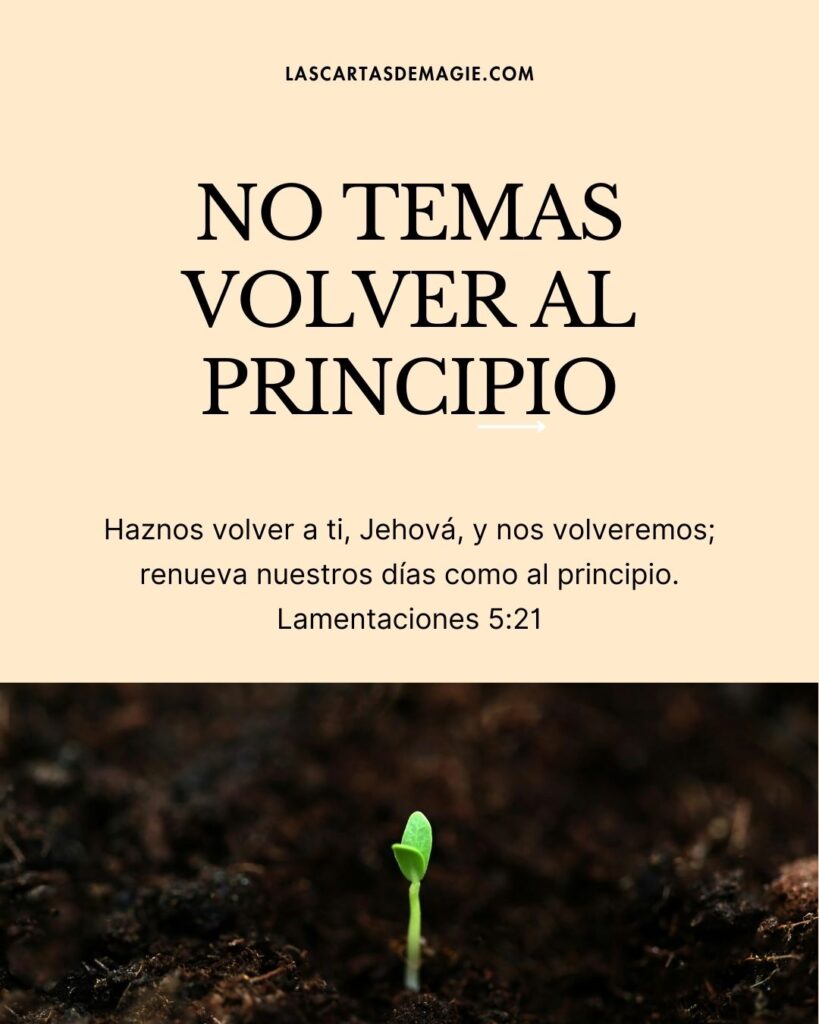 No temas volver al principio – Las Cartas de Magie