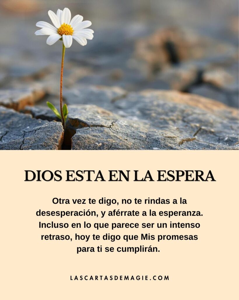 Dios está en la espera – Las Cartas de Magie