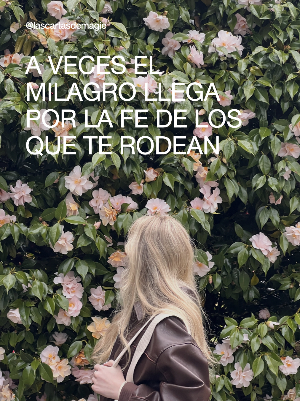 A veces el milagro llega por la fe de los que te rodean – Las Cartas de ...