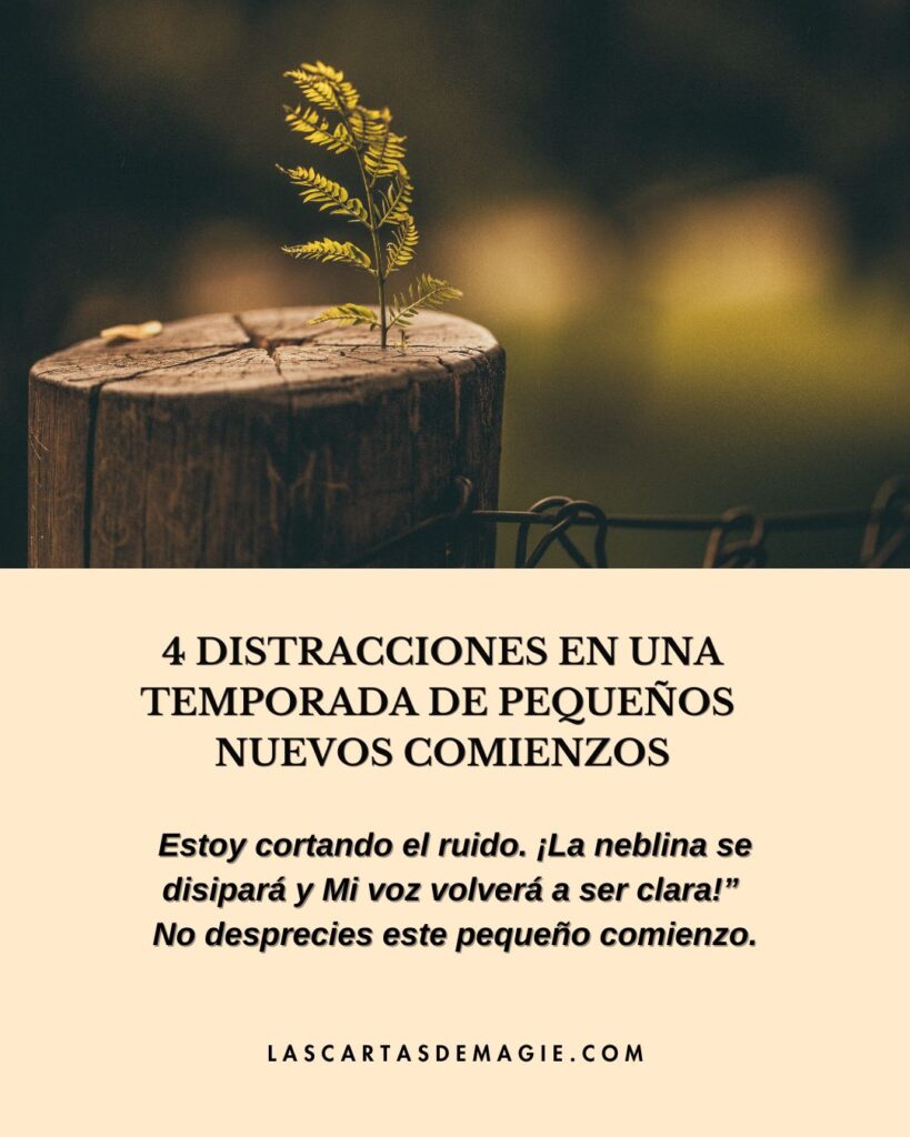 4 distracciones en una temporada de pequeños nuevos comienzos – Las ...