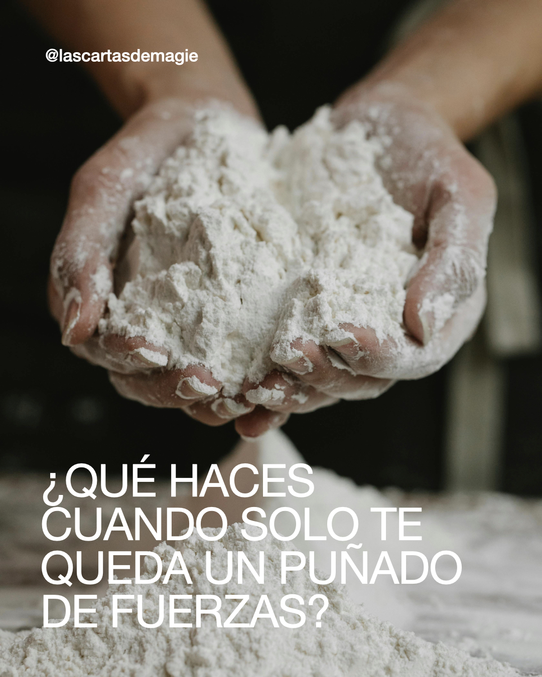 diciembre 2025 – Página 7 – Las Cartas de Magie